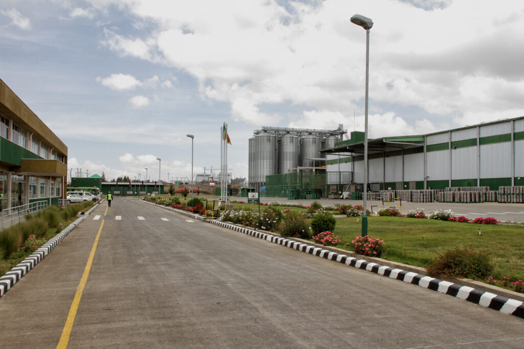 Projects – Elmi Construction